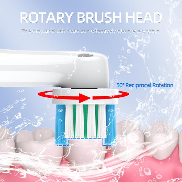 Quality Medium Bristle Electric Round Head Toothbrush Sonic Spin Toothbrush USB Charging for sale