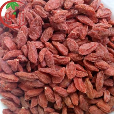 China High Quality goji berry with low price Ningxia goji price 500/50g for sale