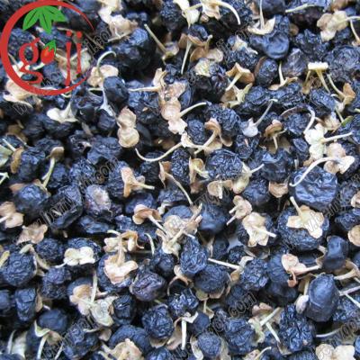 China Chinease Black goji berries/Black wolfberry/High Quality/Factory Supply for sale
