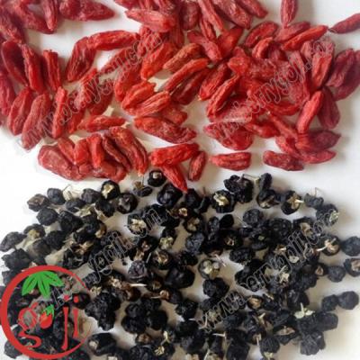 China Organic Black Goji Berry/Black wolfberry for sale