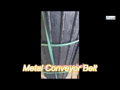 304 stainless steel wire mesh conveyor belt for fry drying silver color