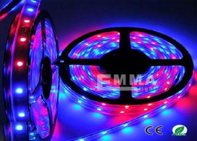 China Tira conduzida flexível da decoração 5M/Roll de Ktv, luzes de tira do diodo emissor de luz do RGB 5M à venda