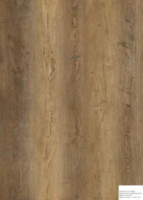 Cina Pavimentazione composita di plastica di legno 225x1218mm residenziale in vendita