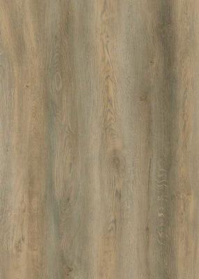 Cina Pavimentazione impermeabile libera 152mmx914mm della plancia del vinile della formaldeide in vendita