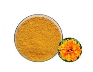 China Marigold Extract for sale