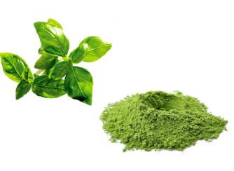 China Factory Supply Pure Green Tea Matcha Powder/Bulk Matcha Powder for sale