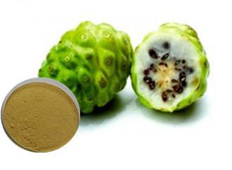 China Noni fruit powder for sale