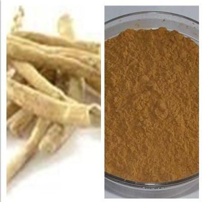 China Natural Treat Male Erectile Dysfunction Indian Ginseng Extract 2.5% Withanolides for sale