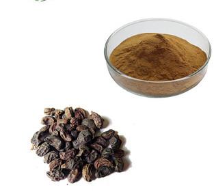 China Glossy Privet Fruit Extract/ligustrum Lucidum Fruit Extract Oleanolic Acid Stevioside Stevia Extract Neotame Powder for sale
