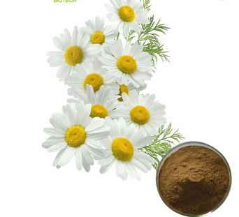 China High Quality Natural Chamomile Extract for sale