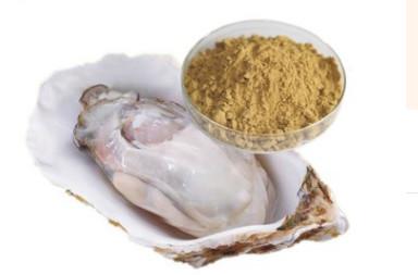 China Oyster Extract  oyster powder for sale