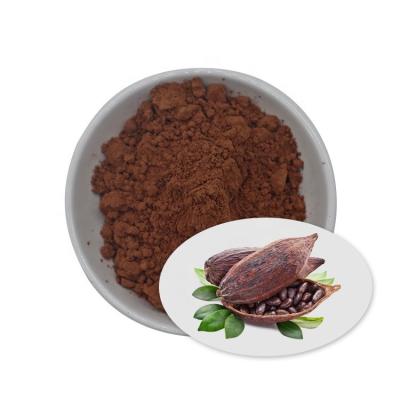 China Lowest Price Bulk Cocoa Powder  Cocoa Extract Powder for sale