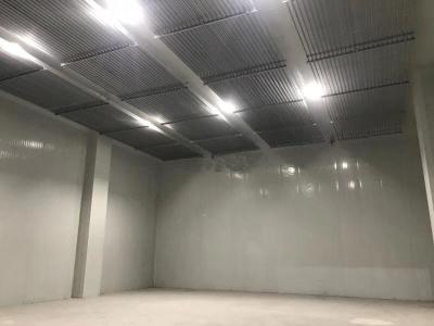 중국 고 자동화 냉각 체인 창고와 모니터링 냉각 체인 물류 해결책 판매용