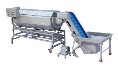 China Taro Automatic Peeling Machine With Rotary Hard Polishing Brushes For Root Vegetable for sale