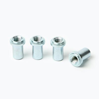 China Heavy-Duty Class 8.8 Carbon Steel Blind Hole Rivet Nut with ISO9001 Certification and Zinc Finish for sale