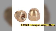 GB923 Hexagon Acorn Nuts Carbon Steel Zinc Plated Fasteners