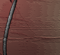 Scanning probe microscope sample image