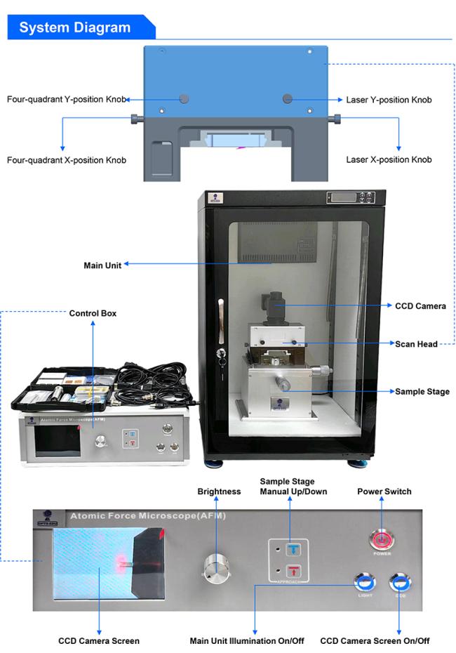 Microscope sample preparation