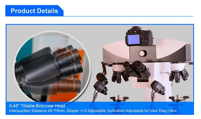 Microscope stage and lighting system