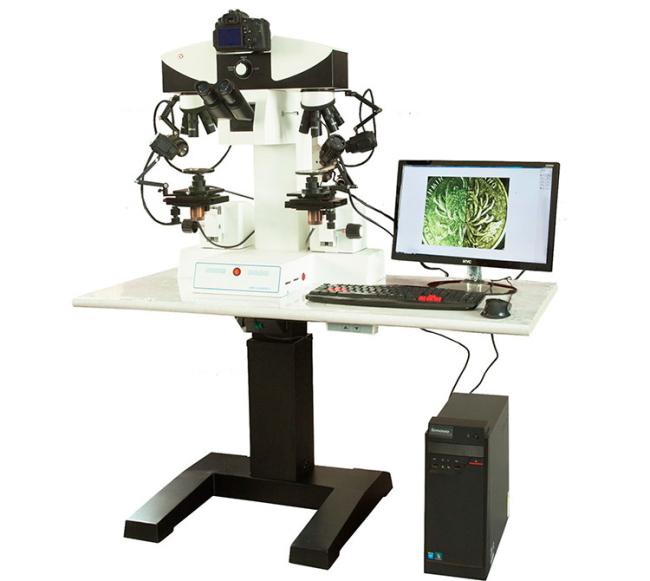 Close-up of microscope head and eyepieces