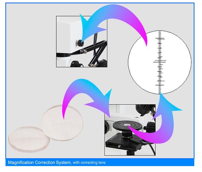 Motorized working stage detail