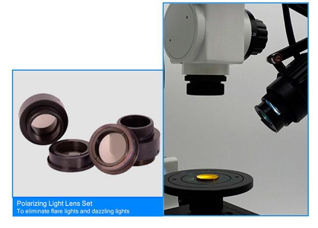 Microscope filter system