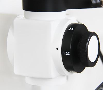Binocular head detail