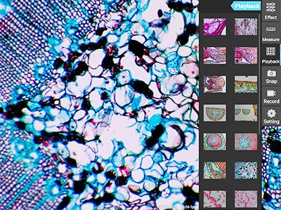 Photo and video capture