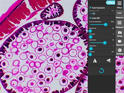 Optical parameter adjustment