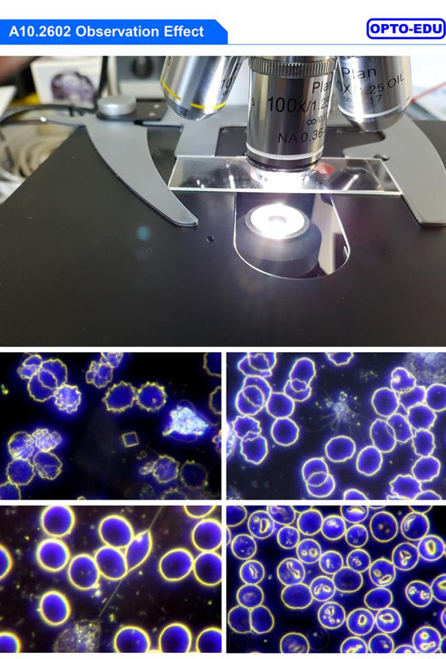 OPTO-EDU A10.2602 Dark Field Microscope accessories view