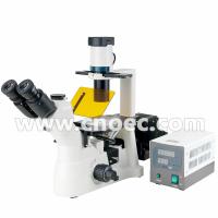 China Laboratory Fluorescence Microscope for sale