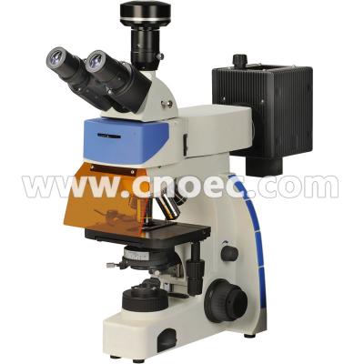 China Binocular Epi - Reflected Led Fluorescence Microscope Light Source A16.2701 for sale