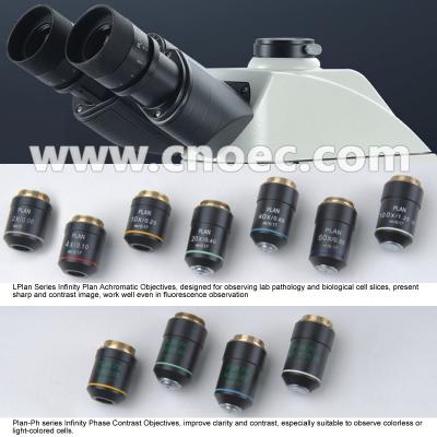 China Fluoreszenz/Polarisierungsoptisches Mikroskop digital, CER A31.0907-B zu verkaufen