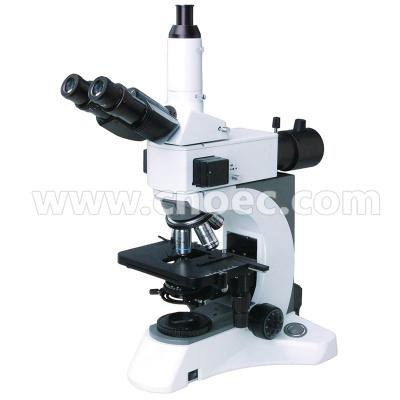 Cina Lampada A16.1029 40x - 1000x dell'alogeno del microscopio di fluorescenza di piano di infinito in vendita