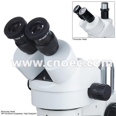 China Medical Stereo Optical Microscope Fluorescent Light Microscopes CE A23.0901-ST for sale