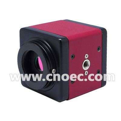 China Rosy USB Digital Microscope Camera Microscope Accessories , CE Rohs A59.4206 for sale