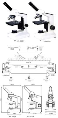 China Portable Achromatic Binocular Compound Microscope A11.0202 For Lab for sale