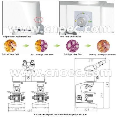 중국 1000x 넓은 현지 연구 법정 비교 현미경 A18.1002 판매용