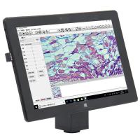 China 10.1 Inch LCD Digital Microscope Camera for sale