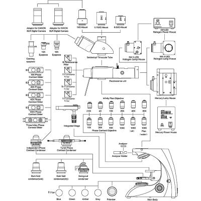 China LED 40-1000x Forschung Trinocular-Labormikroskop des Mittel-optisches Mikroskop-A12.2603 biologisches zu verkaufen