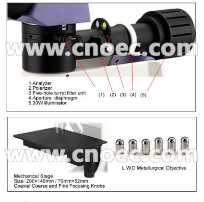 China Binocular Trinocular Upright Metallurgical Microscope A13.2603 A13.2605 for sale