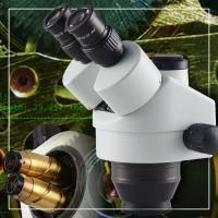 China Digital Stereo Microscope for sale