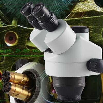 China Opto-Edu Ooglens van de Gezoem de Stereo Digitale Optische Microscoop WF10x/20mm Te koop