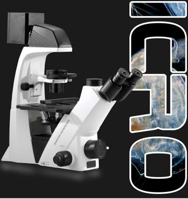 China 20x / 40x Annular Spot Inverted Optical Microscope Trinocular A14.2605 for sale
