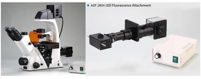 China 20x / 40x Annular Spot Inverted Optical Microscope Trinocular A14.2605 for sale