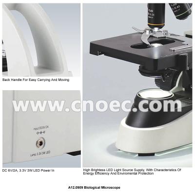 China 3.0M , 40x - 1000x Digital Biological Student Microscope For Middle School for sale