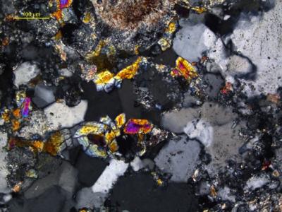 中国 客観的な送信の実験室の偏光顕微鏡LEDの光源 販売のため