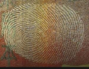 중국 A18.1838 0.14 - 50x 법정 비교 현미경 원통 모양 자취 늘이는 사진기 판매용