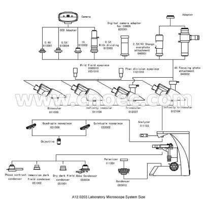 Chine Microscope de laboratoire 40X -1000X avec le microscope biologique A12.0203 de la CE à vendre