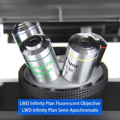 Cina Semi Apo OPTO EDU Inverted Fluorescence Microscope del CE in vendita